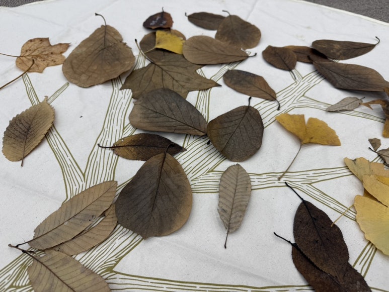 제3회 숲 한마당 생태와 삶 : 네이버 블로그