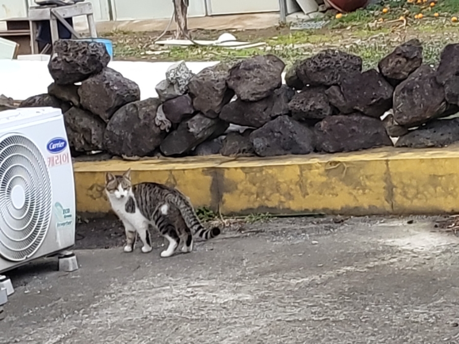 아휴, 깜짝이야! : 네이버 블로그