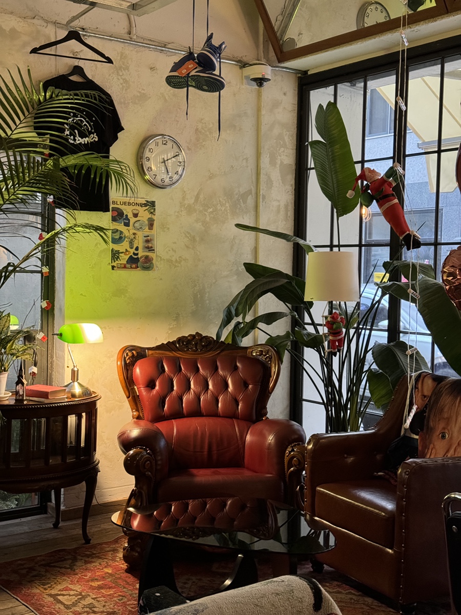 전주한옥마을 애견동반 카페, 블루본즈 솔직 방문 후기 : 네이버 블로그