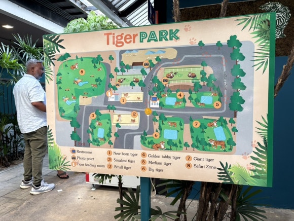 파타야 아이와 가볼만한 곳｜타이거파크, 호랑이 만질까 말까? : 네이버 블로그