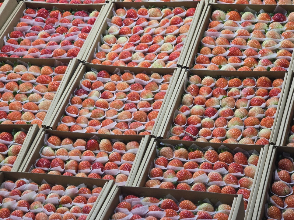 달랏 시장 & 야시장 완전 정복 : 위치, 먹거리, 기념품 쇼핑까지 필수 코스 총정리 : 네이버 블로그