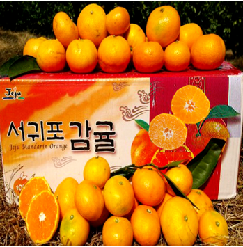 달콤한 귤 찾는다면｜서귀포 고당도 조생 귤 첫출하 후기 : 네이버 블로그