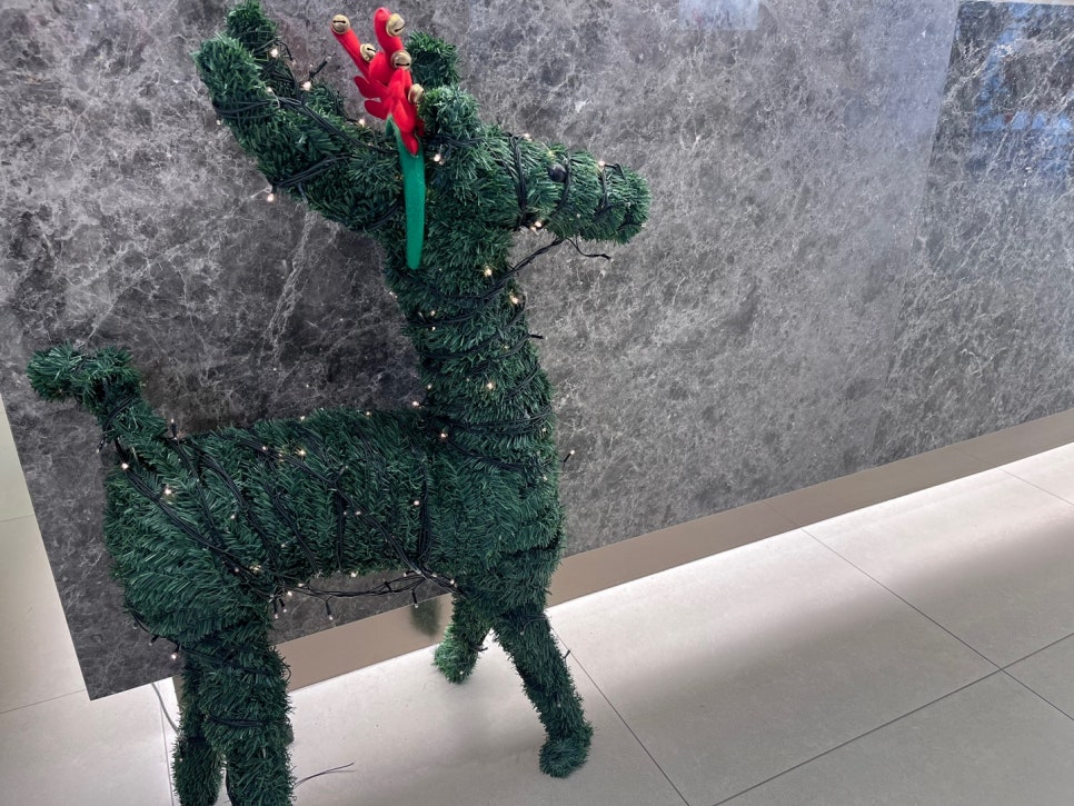 질입구 요도막힘, 대음순유착이 원인이었습니다 : 네이버 블로그