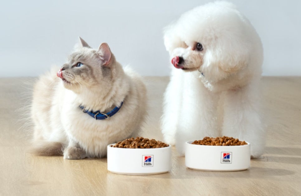 힐스 고양이 사료 어덜트 장점 후기 및 8% 할인구매 방법 : 네이버 블로그