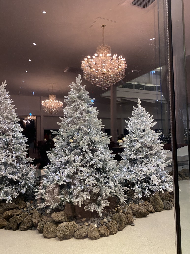 기장 대형 카페 탄티 (TANTI) 후기ㅣ클래식 공연 있는 부산 늦은 밤 카페 : 네이버 블로그