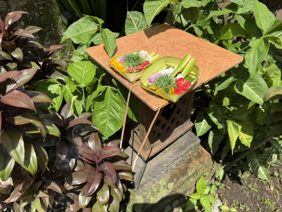 [발리 여행] 길거리에 놓인 꽃바구니 차낭사리, 밟으면 큰일 날까? (의미와 에티켓) : 네이버 블로그