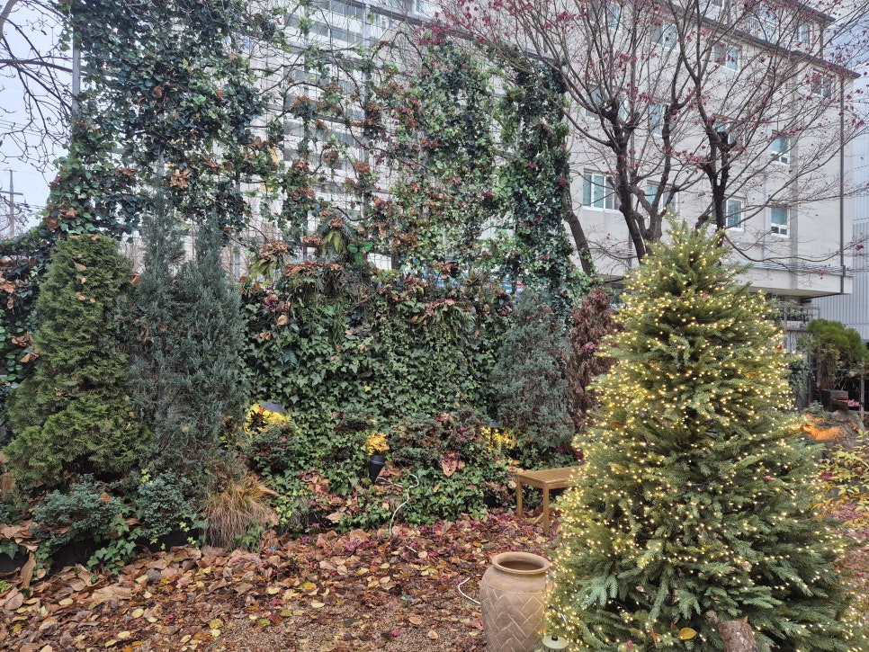 망원동 크리스마스 분위기 애견동반 카페, Uig : 네이버 블로그