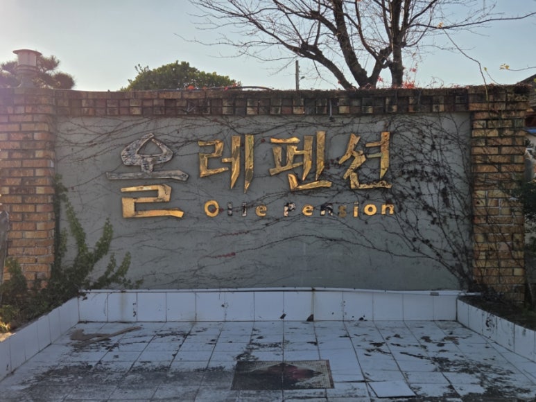 포항 올레 애견 펜션 대형 운동장이 있는 월포해수욕장 근처 숙소 : 네이버 블로그