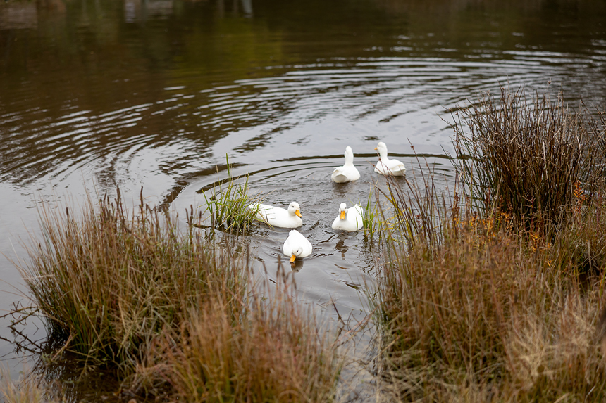 아이와 가기 좋은 제주 카페, 담소요 : 네이버 블로그