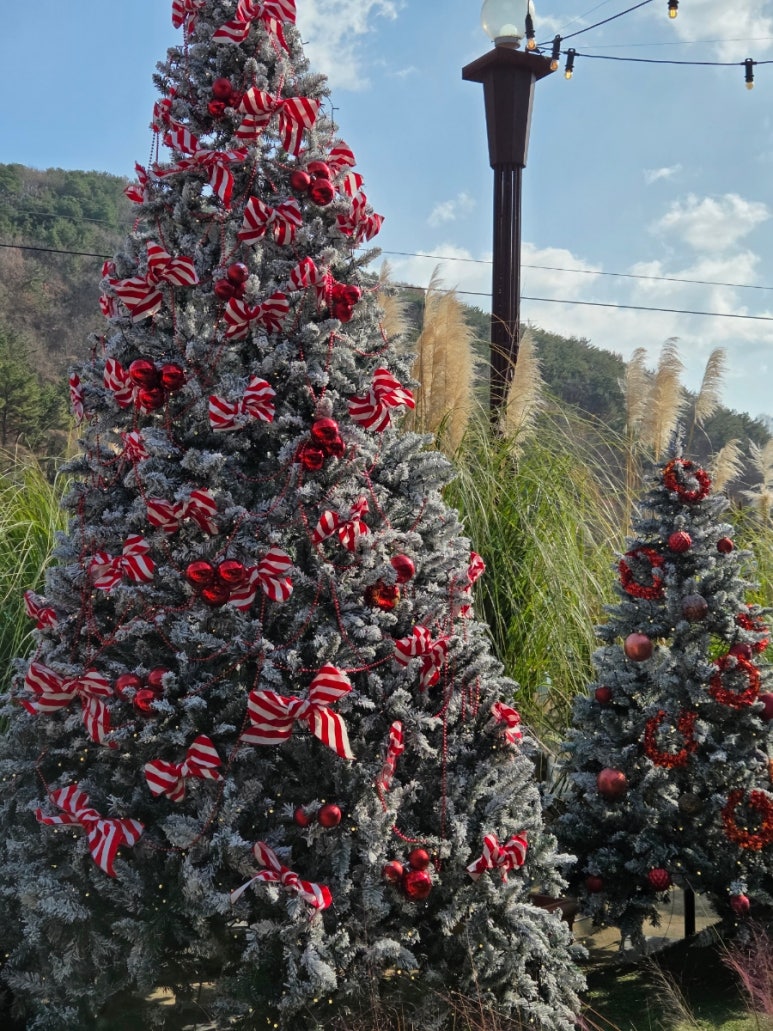 마산 덕동 크리스마스 카페 노마드 : 네이버 블로그