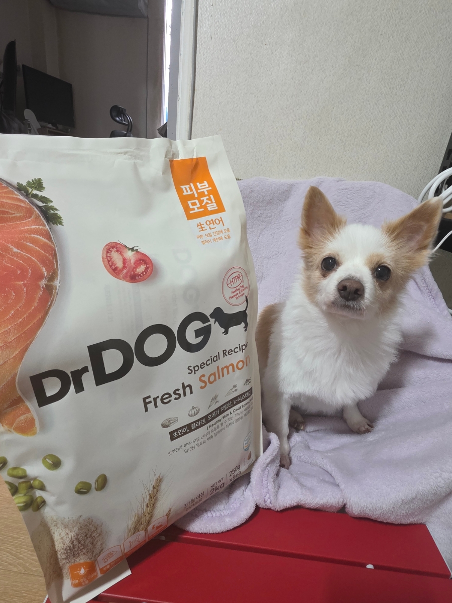 처방사료 샘플사료 강아지피부사료추천 받은 닥터독 알러지 눈물 연어사료 : 네이버 블로그