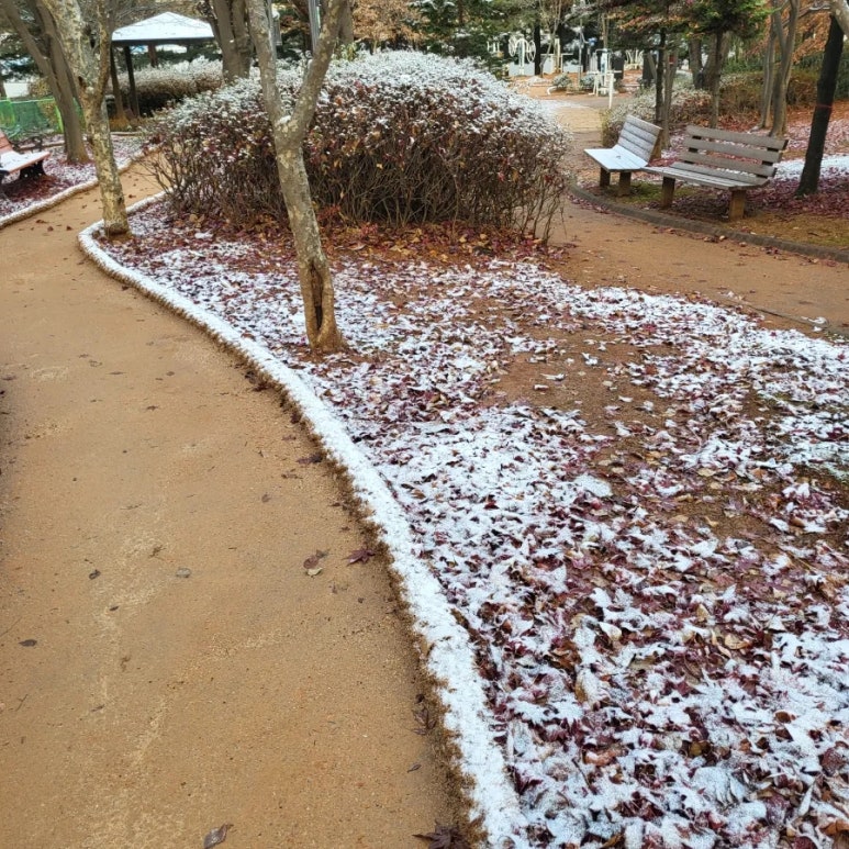 눈쌓인 작은 공원을 걷다 : 네이버 블로그