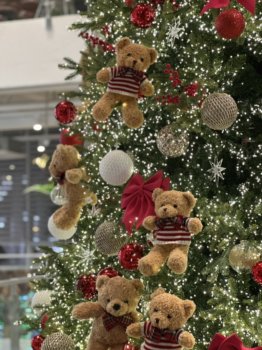 [식구 플랜 #24] 3일 배아 동결 이식 후 7일-10일차 임테기 결과 : 네이버 블로그