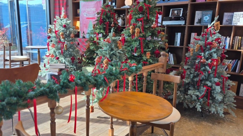 [진주카페] 평거동 트리카페 하르르 커피 진주 : 네이버 블로그