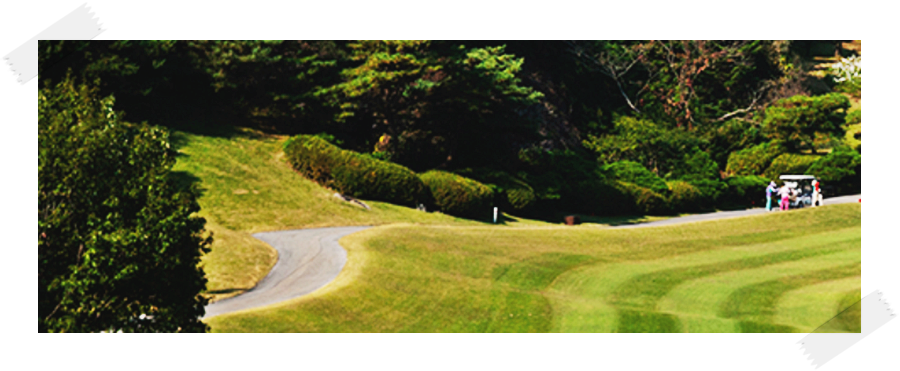 아시아나cc 회원권 가격 주중 일반 시세 그린피 혜택 용인골프장 : 네이버 블로그