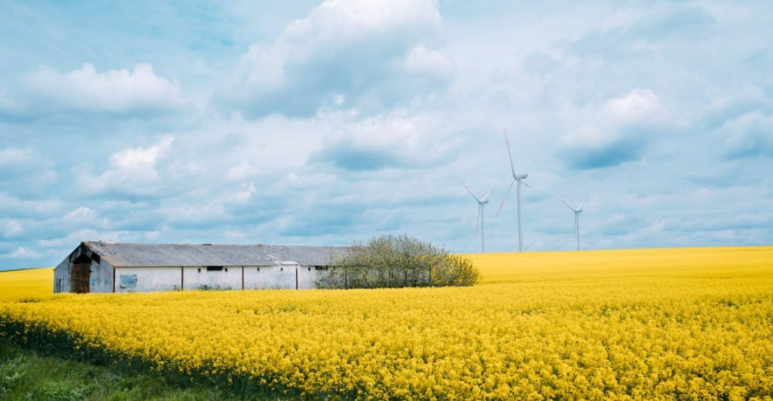 2일차 - 어른의 관계를 가꾸는 100일 필사 : 네이버 블로그