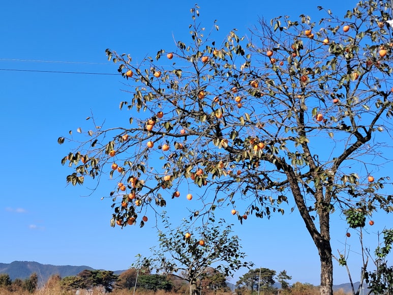 고통의 자리에서 하늘을 보다 : 네이버 블로그