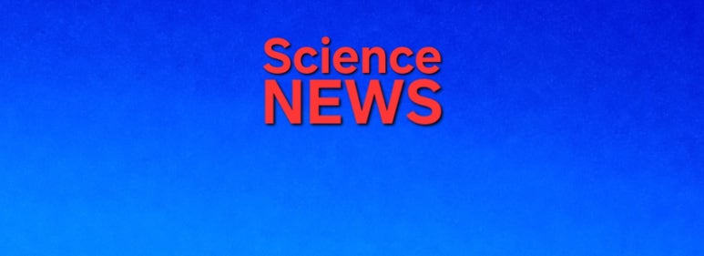 항암제 투여 없이 암이 줄어들었다 : 네이버 블로그