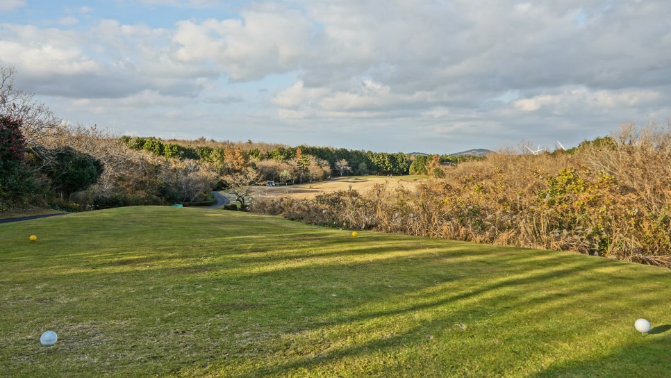 가성비 제주 골프장 - 제주 부영 CC, 우정 코스 : 네이버 블로그
