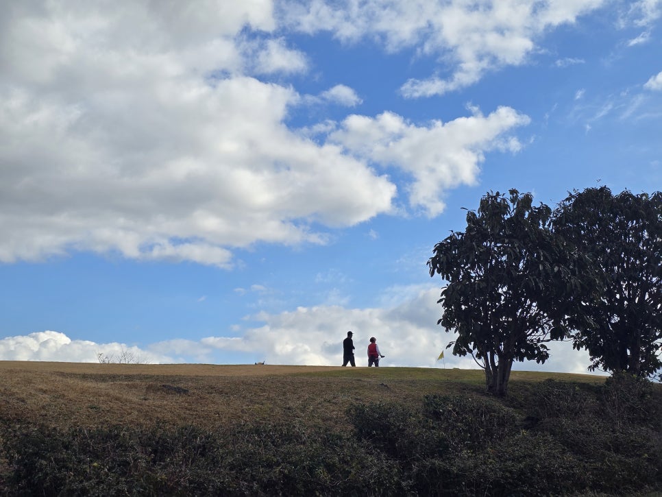 가성비 제주 골프장 - 제주 부영 CC, 사랑 코스 : 네이버 블로그