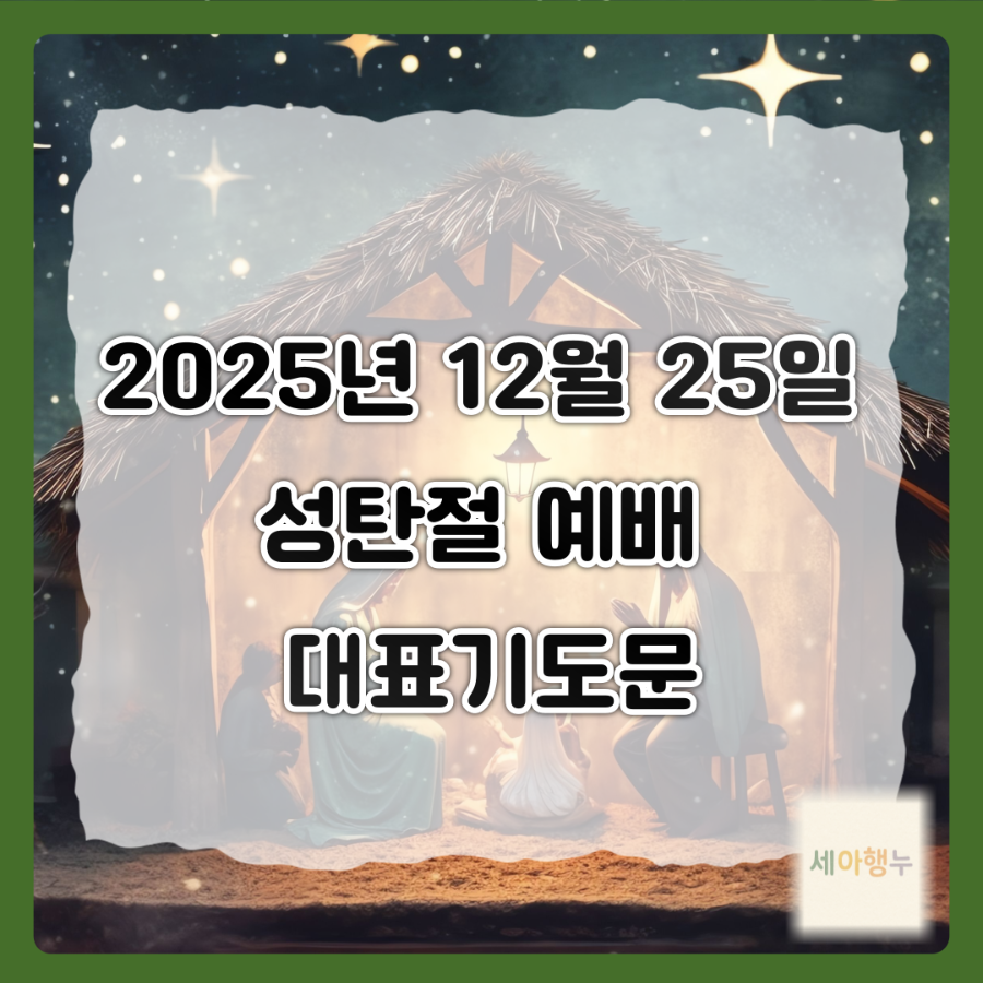 [성탄절 대표기도문] 2025년 12월 25일 성탄절 예배 대표기도문 : 네이버 블로그
