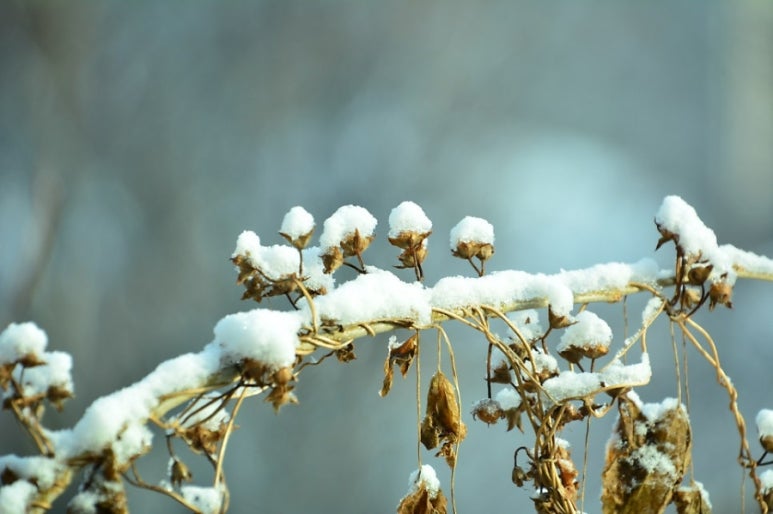 일상(日常)을 지키는 삶 / 重山 : 네이버 블로그
