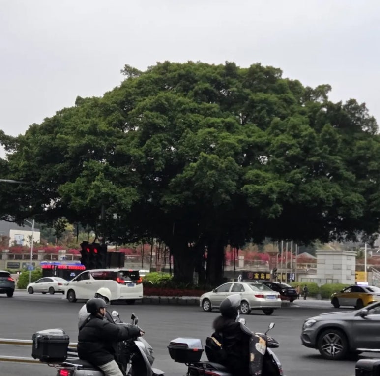 Fuzhou Log : 네이버 블로그