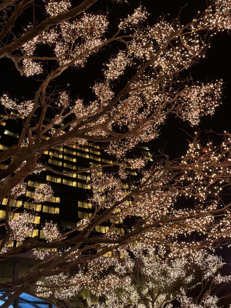 연말엔 그랜드하얏트 : 네이버 블로그