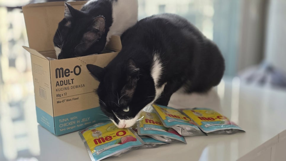 미오 고양이 습식 파우치, 기호성으로 증명된 이유 : 네이버 블로그