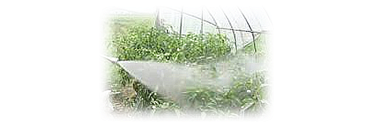 엽면살포(엽면시비)란? 작물이 잎으로 양분을 흡수하는 원리와 활용법 : 네이버 블로그