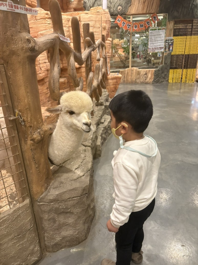 [육아일기] 아빠와 사랑스러운 남매의 오붓한 평일 데이트! 시흥 이색카페 실내 동물원 키즈카페 '쥬뗌므' 방문 솔직 후기 (주차 ...