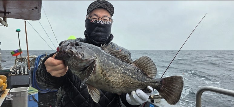 태안 신진도 선상낚시 한하스폐셜호 침선 우럭낚시 개우럭의 찐한 손맛 : 네이버 블로그