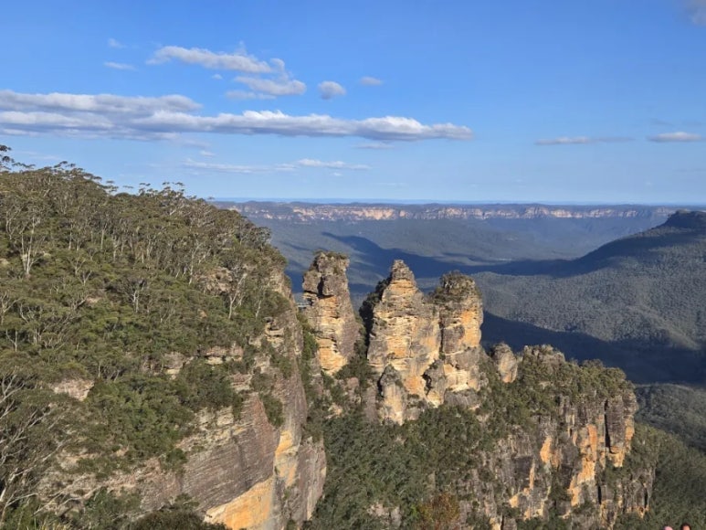 5. '페더데일 동물원 & 블루 마운틴+ 별보기 투어' 2편 : 네이버 블로그