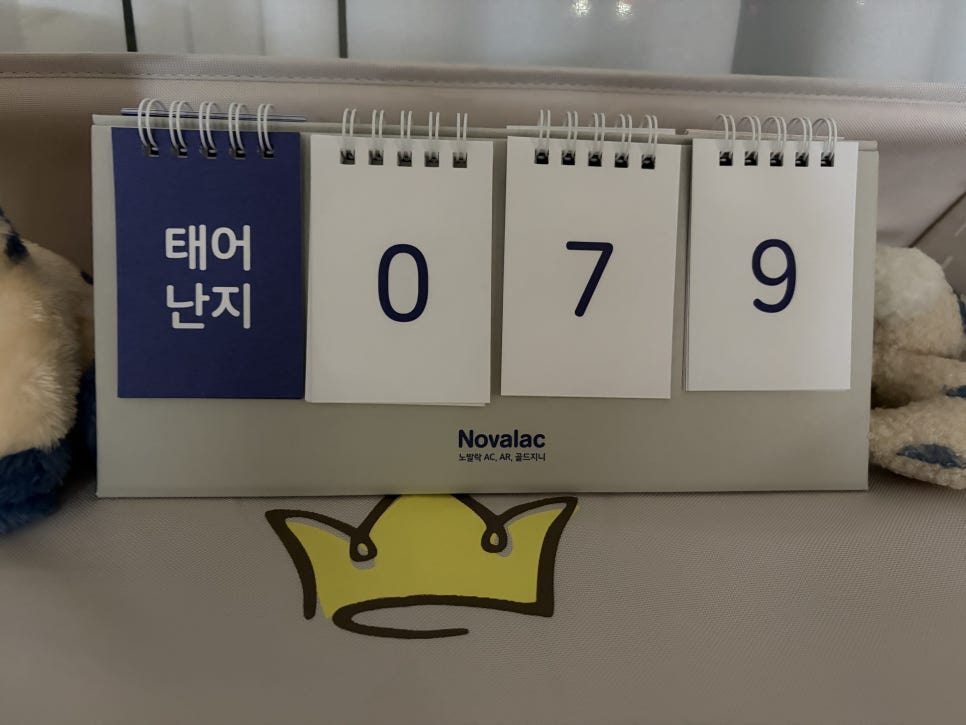 3개월차 아기 외출 아기와 첫 크리스마스 노발락 육아일기 아기성장일기 : 네이버 블로그