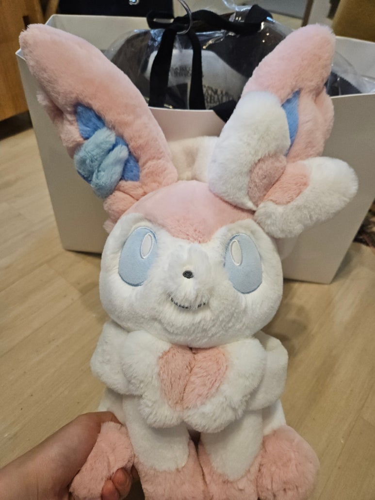 [내돈내산] 메타몽 스노우볼, 메타몽 액션슬리퍼, 보들보들 님피아 후기! : 네이버 블로그