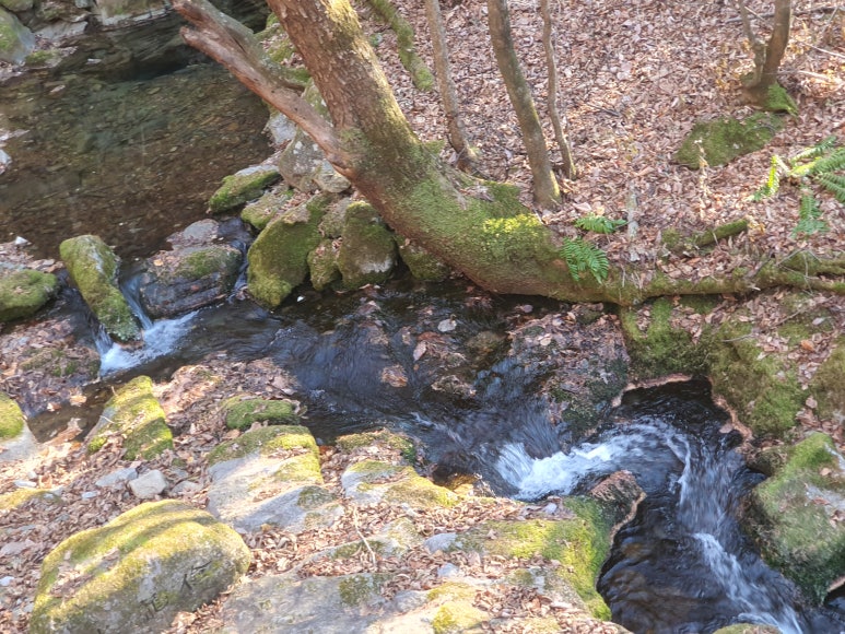 [우리 산하] 한강의 발원지 태백 금대봉 검룡소를 찾다(11-끝) : 네이버 블로그