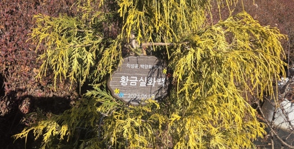 가끔에서 마지막 주말을 보내며 : 네이버 블로그