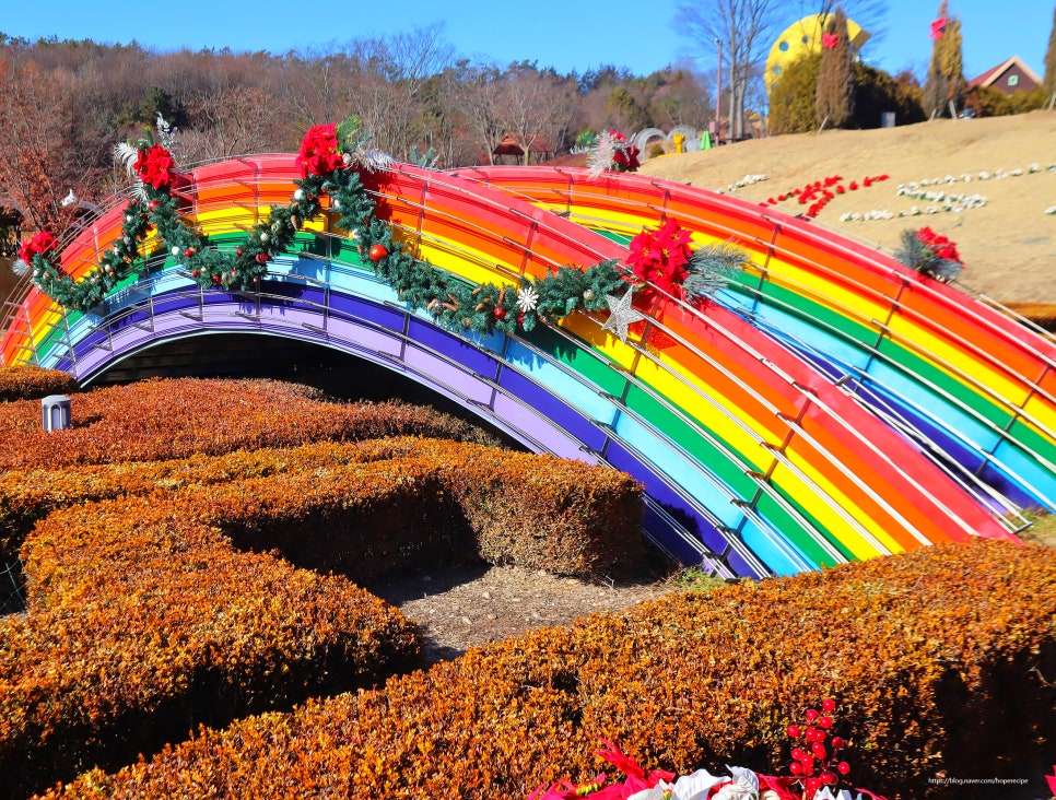전북 크리스마스 가볼만한곳 임실 치즈테마파크 국사봉 전주한옥마을 로망스투어 : 네이버 블로그