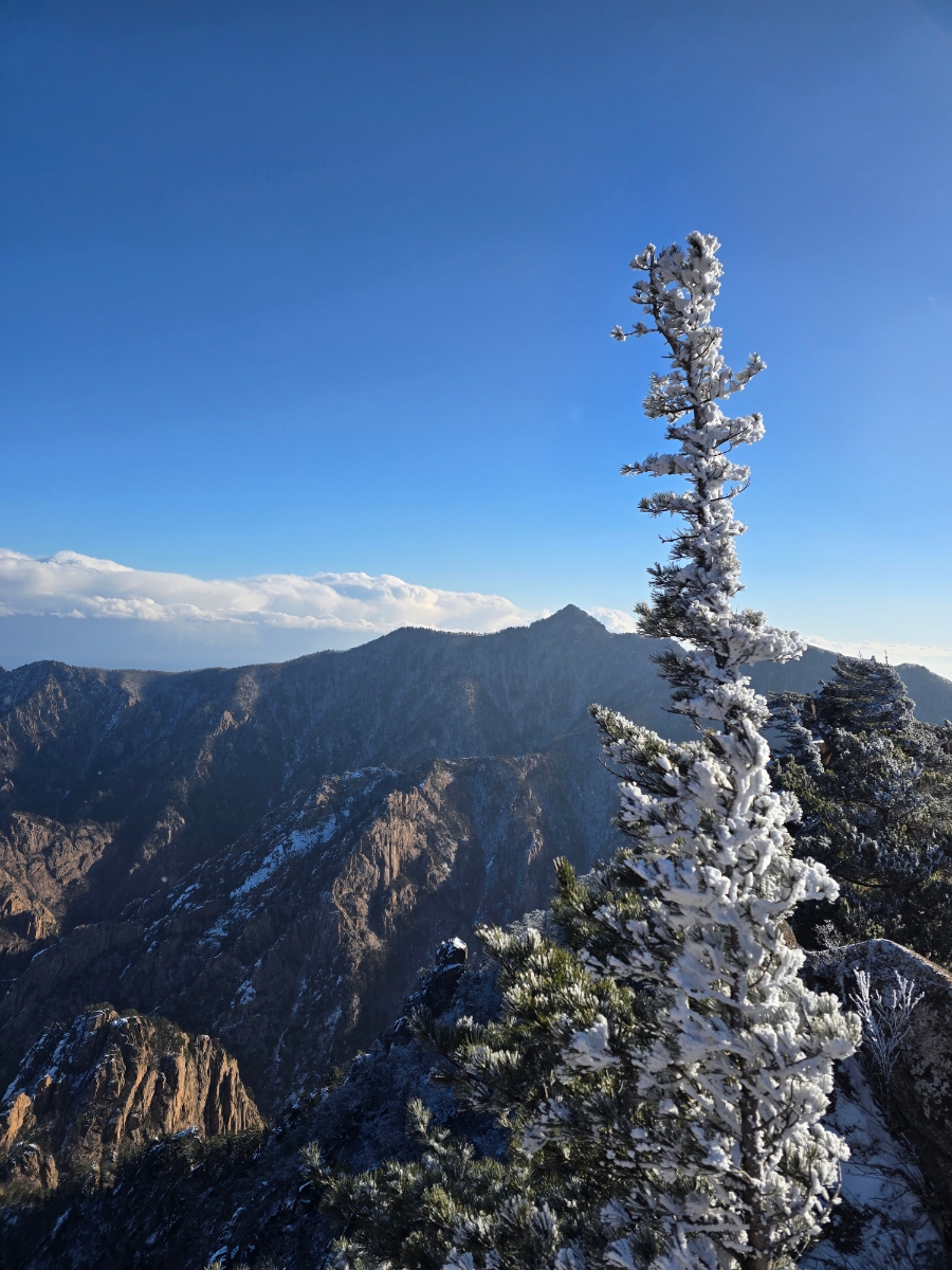 여호수아24장1절~13절(하나님이 이끄신 은혜의 역사) : 네이버 블로그