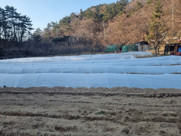 슬기로운 텐트 생활 20251227 : 네이버 블로그