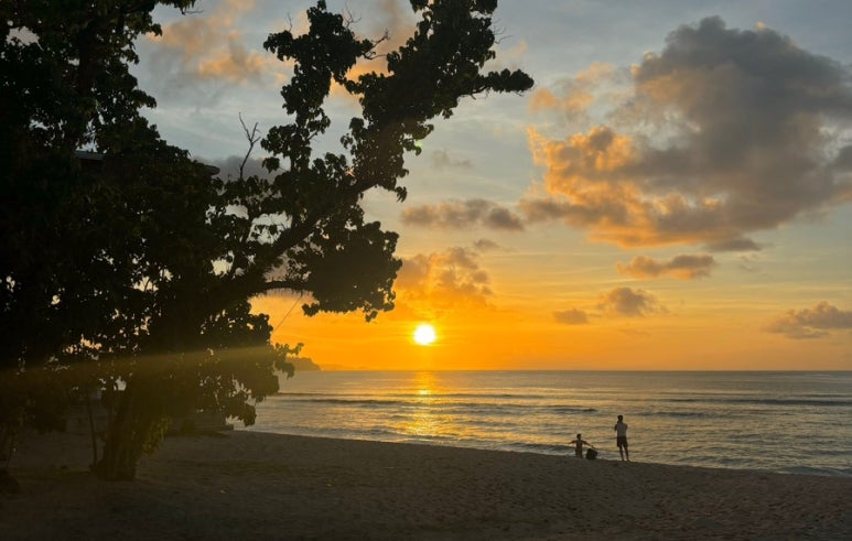 Hafa Adai 🌺 : 네이버 블로그