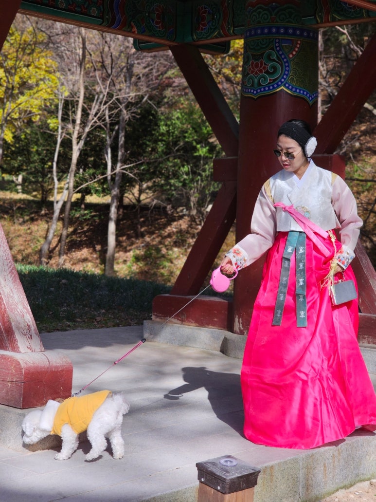 2026 구정설연휴 대전근교감성숙소 애견동반가능 금산스테이_소망별채에서 휴식을... 2월 예약 접수중 : 네이버 블로그