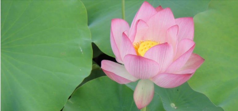 인연의 어제와 오늘에 대한 함축적 고찰 by 맹자 : 네이버 블로그