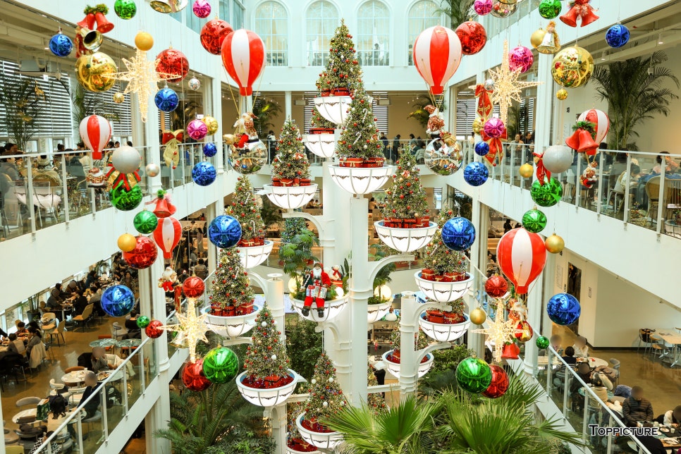 [용인] 크리스마스트리가 하늘에 떠있는 : 네이버 블로그