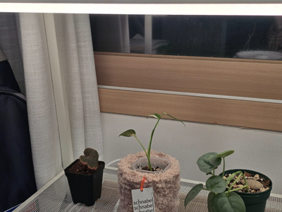 히포팜텍 식물생장 라이트바, 공간에 딱 맞는 자석고정 식물LED 후기 : 네이버 블로그