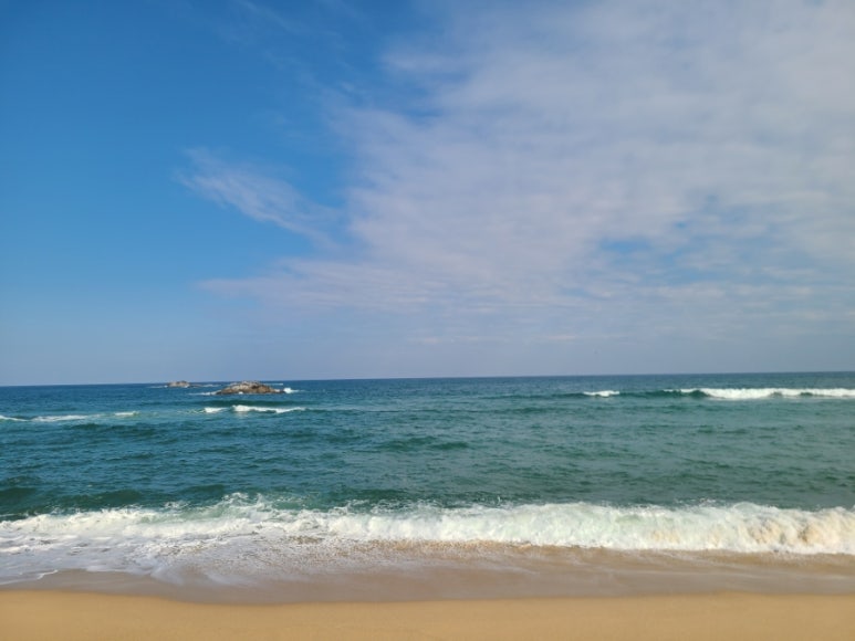 암진단 받고 떠난 강릉여행기. : 네이버 블로그