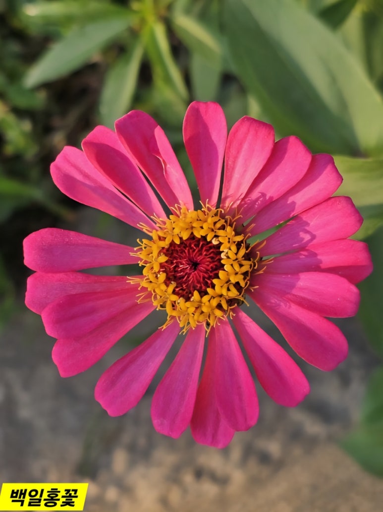 하루는 길어 일년은 짧아 : 네이버 블로그