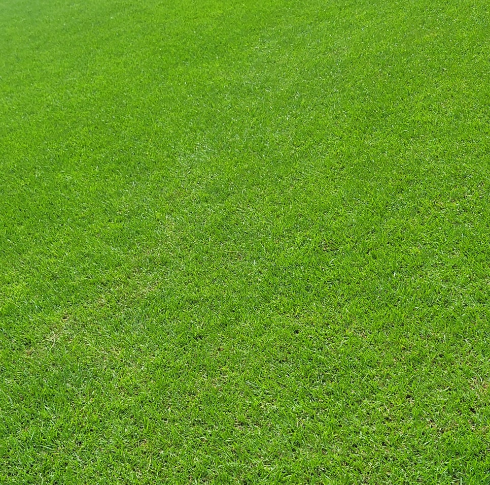 양주cc 회원권 가깝고 후기좋은 북한강 조망 코스 : 네이버 블로그