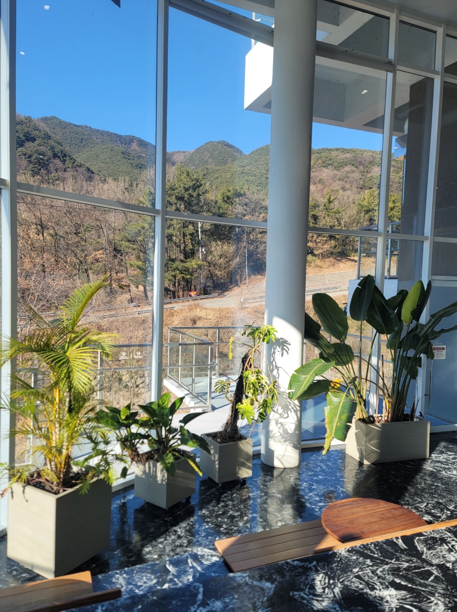 대구 근교 볕이 잘드는 대형카페 포레밀에는 특별한 빵이 있어요. : 네이버 블로그