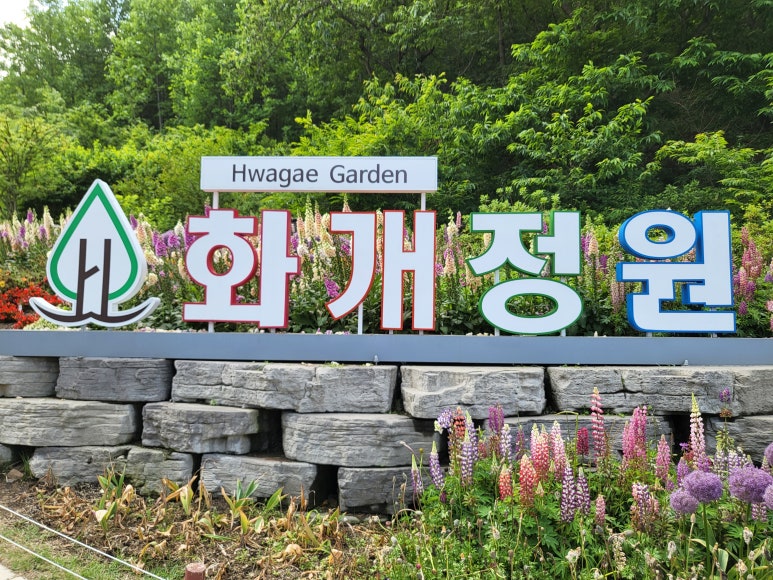 교동도 - 화개정원 : 네이버 블로그